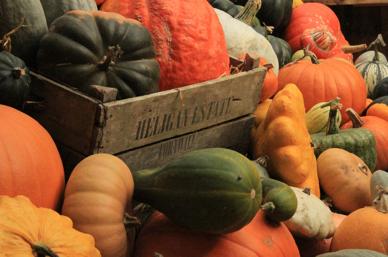 Heligan Harvest 30 Days Of Celebration Best Days Out Cornwall