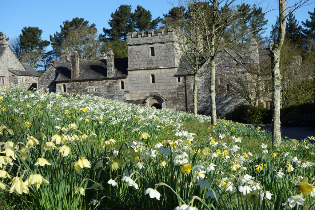 Home - Best Days Out Cornwall