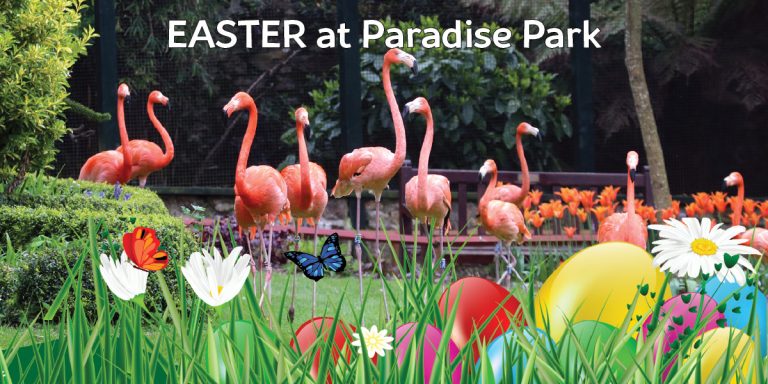 Easter Golden Egg Challenge at Paradise Park - Best Days Out Cornwall