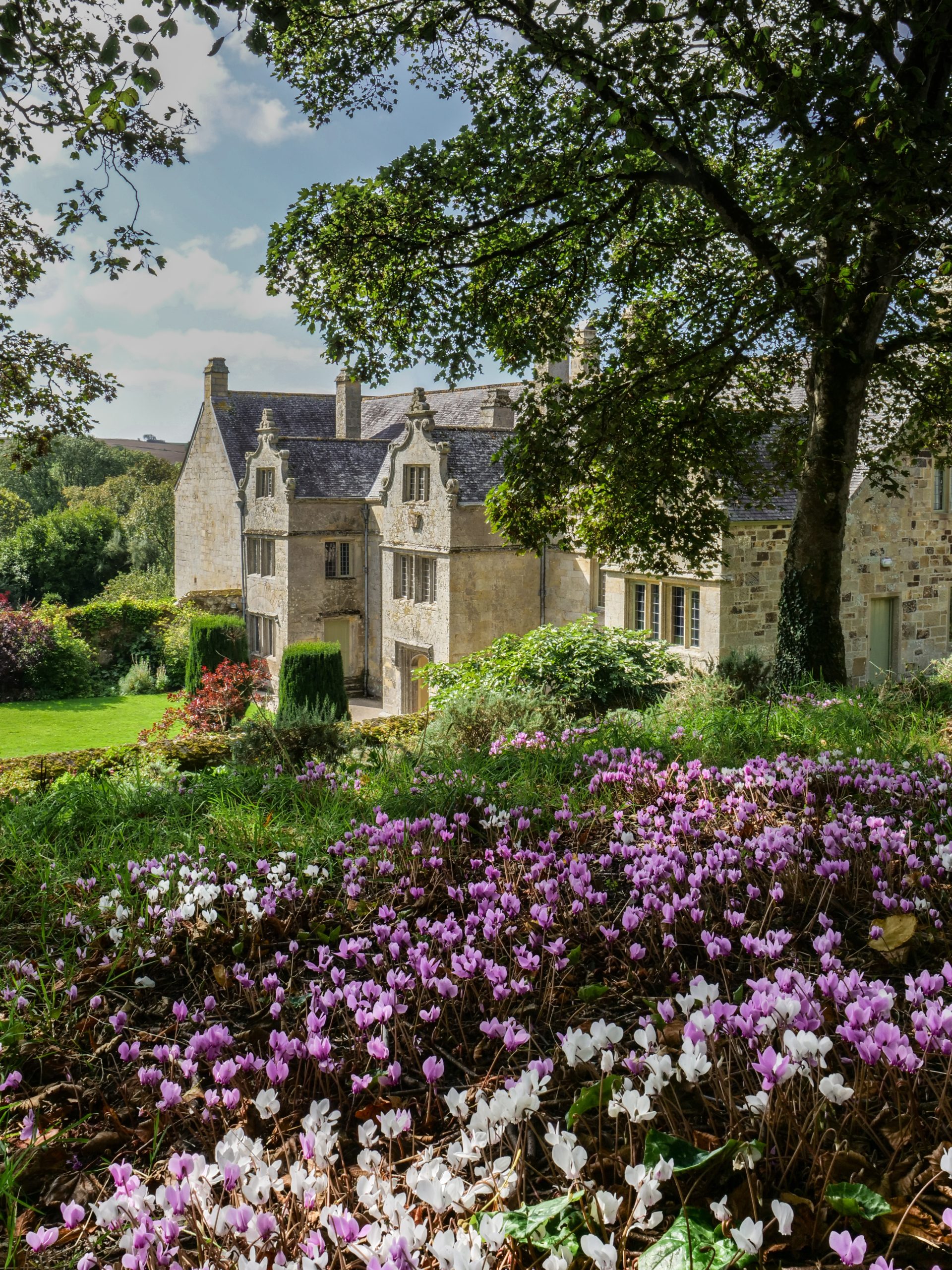 Alfresco entertainment this summer at Trerice near Newquay - Best Days ...