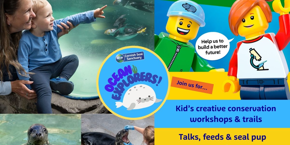 Become an ‘Ocean Explorer’ this summer at the Cornish Seal Sanctuary ...